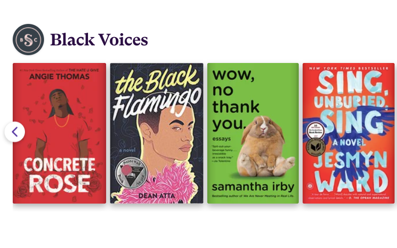 Decolonizing Our Bookshelves Silent Book Club